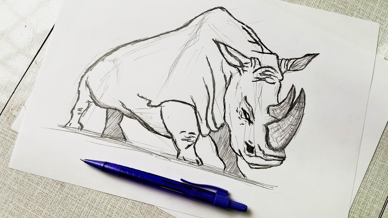 How to Draw a Rhino From Africa Step by Step / Drawing a Rhinoceros / Easy Drawing Tutorials ...