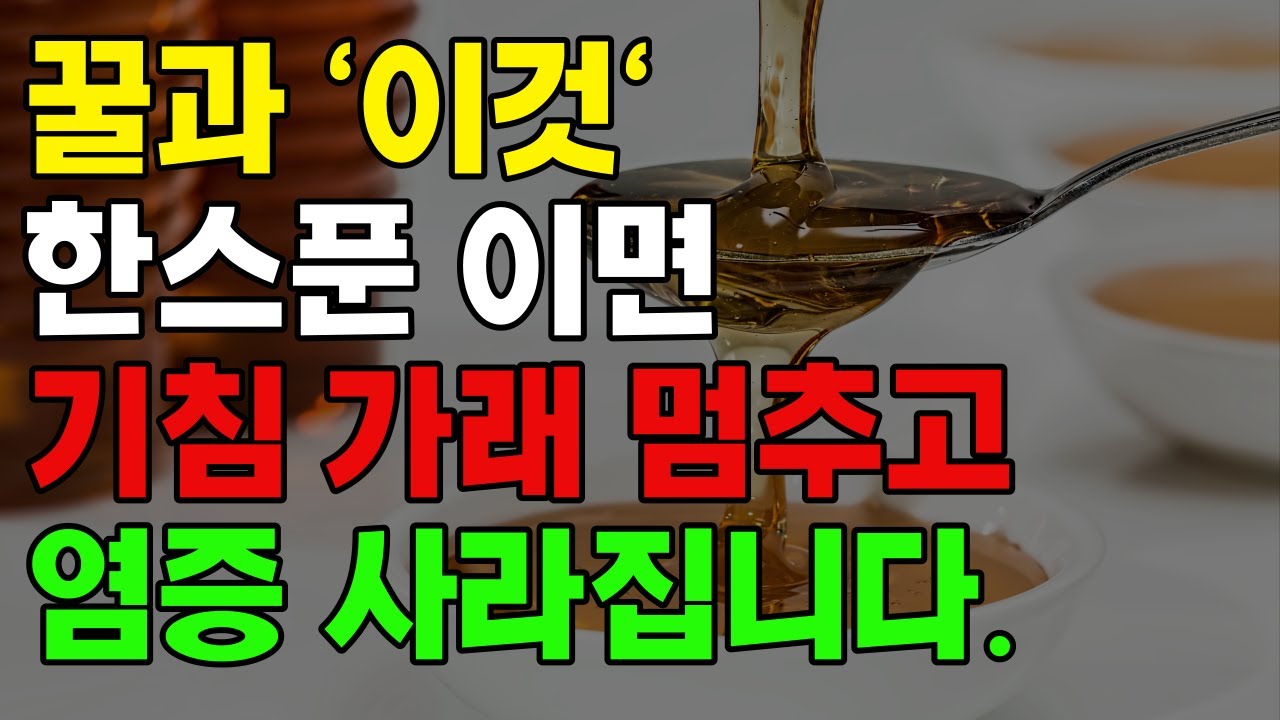 꿀과 함께 먹으면 보약되는 음식 3가지와 레시피 총정리 값비싼 영양제 대신 이것 드세요 기침 가래 염증까지 싹