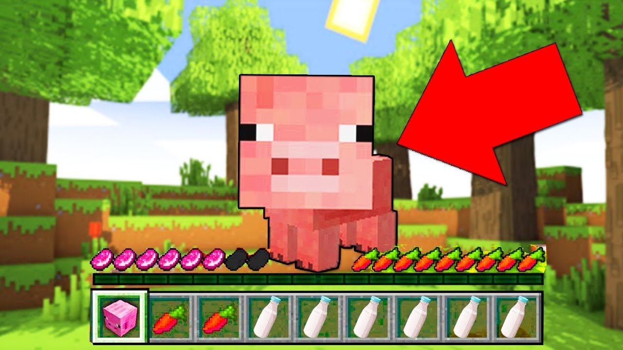 Minecraft - HOW to play BABY PIG in Minecraft: NOOB PIGGY vs PRO ...
