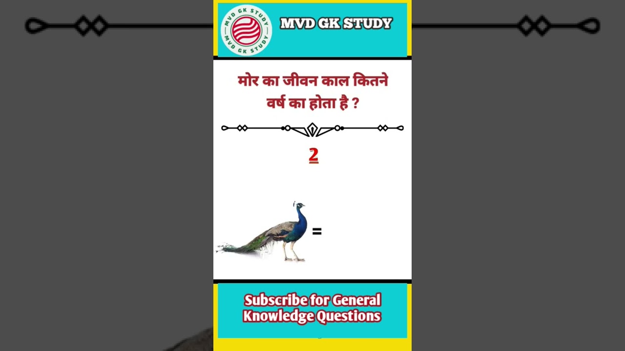 General knowledge questions about 🦚 Peacock #gkinhindi #shorts # ...