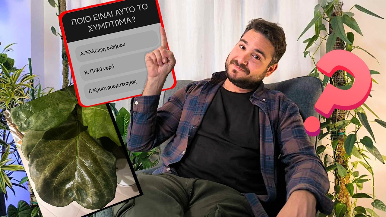 ΑΝΤΙΔΡΟΥΜΕ ΣΕ ΠΟΣΤ ΑΣΘΕΝΩΝ ΦΥΤΩΝ ΜΕ ΦΙΛΟΥΣ - YouTube