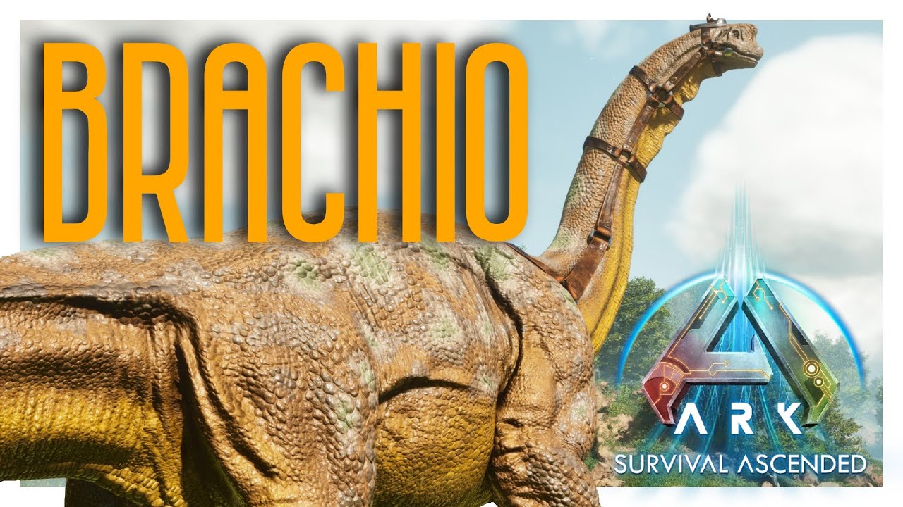 How To Tame The Brachiosaurus! - ARK: Survival Ascended MODDED - YouTube
