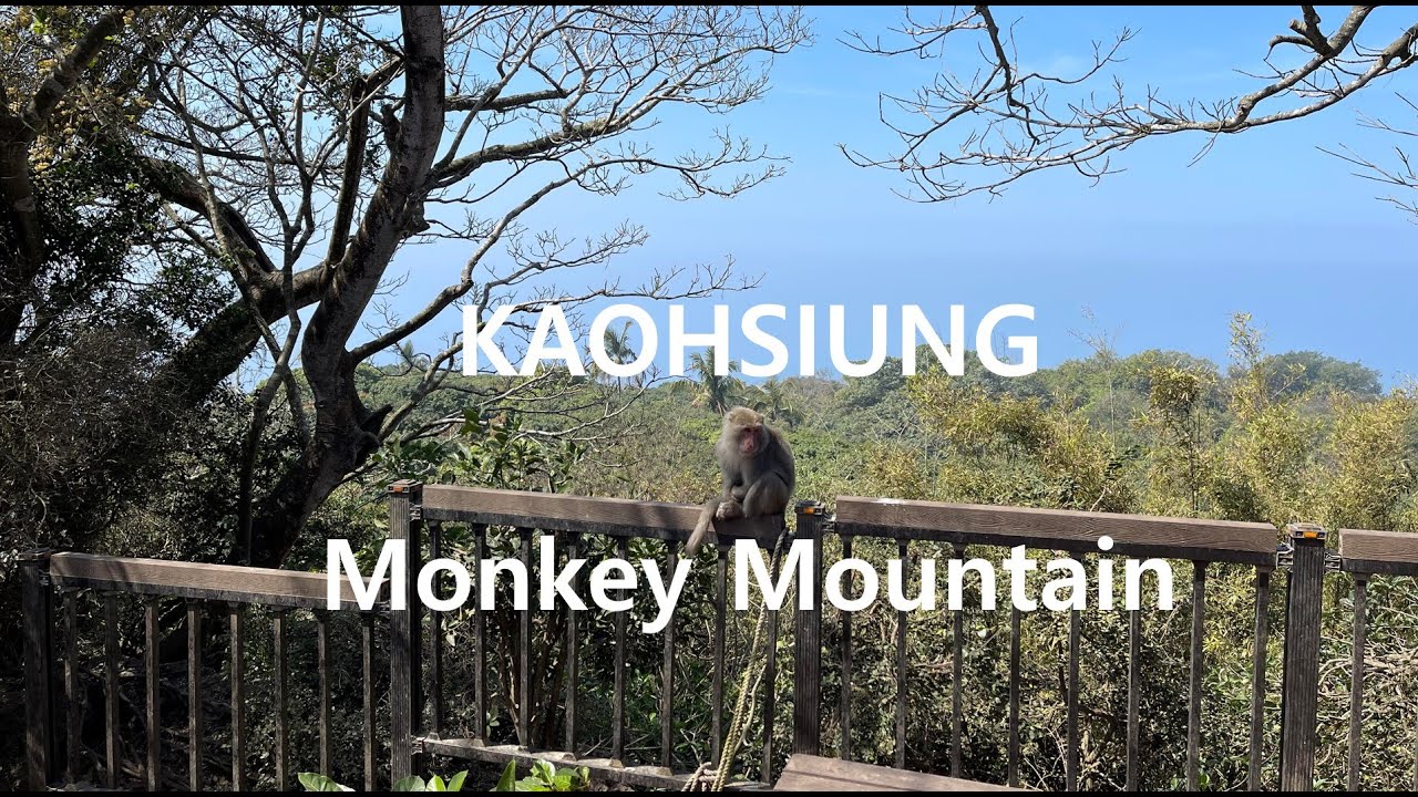 Kaohsiung Monkey Mountain -Shoushan - YouTube