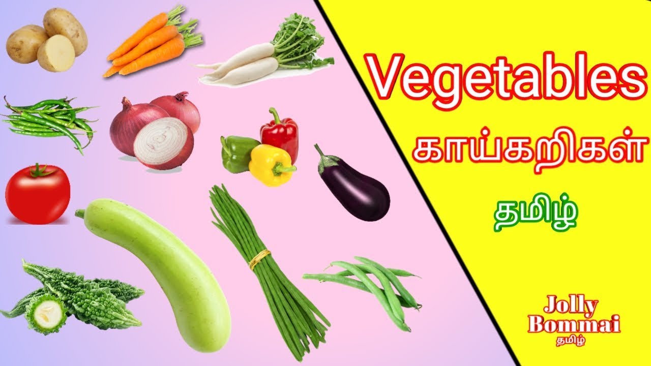 Kids Learning(தமிழ்): Vegetables names | காய்கறிகளின் பெயர்கள் | Jolly ...