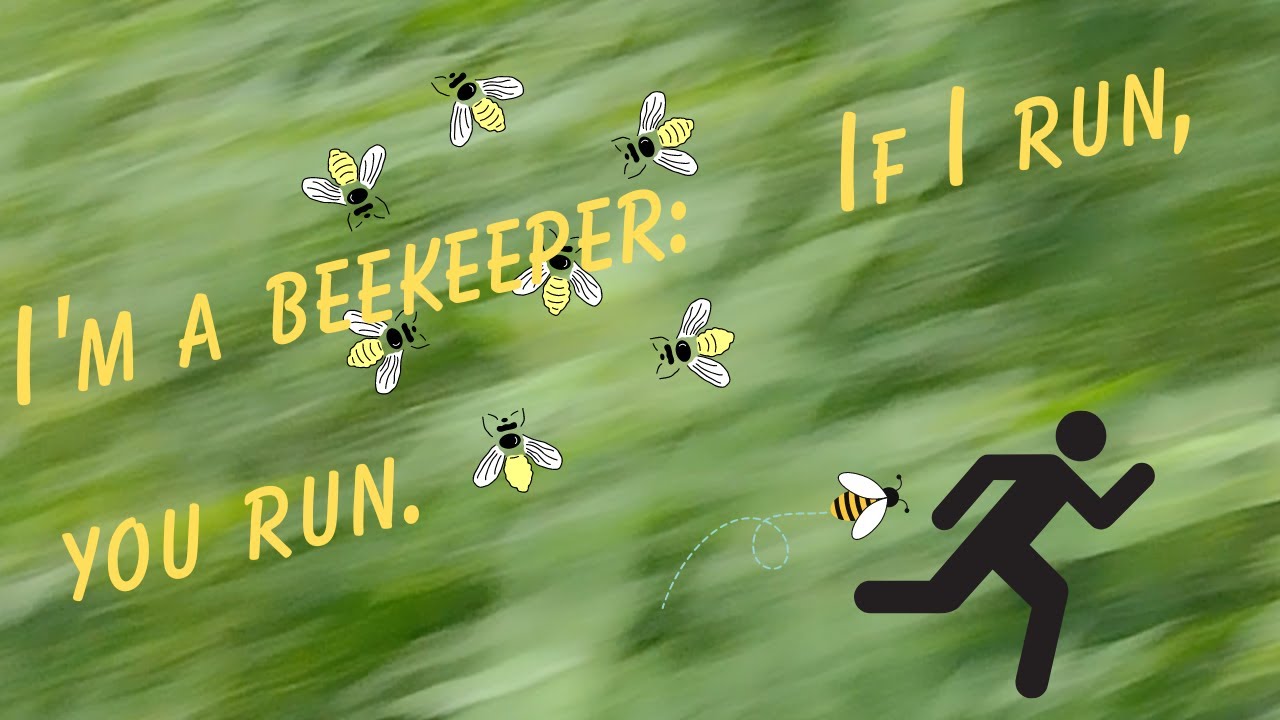 When a Beekeeper Runs...You RUN... - YouTube