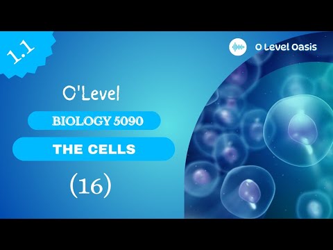 The Cell Sap Vacuole | structure and function | O Level Biology 5090 ...
