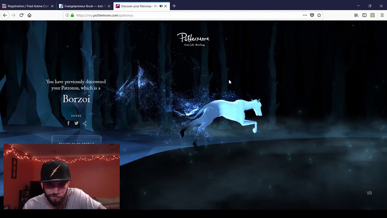 Find Your Patronus Harry Potter
