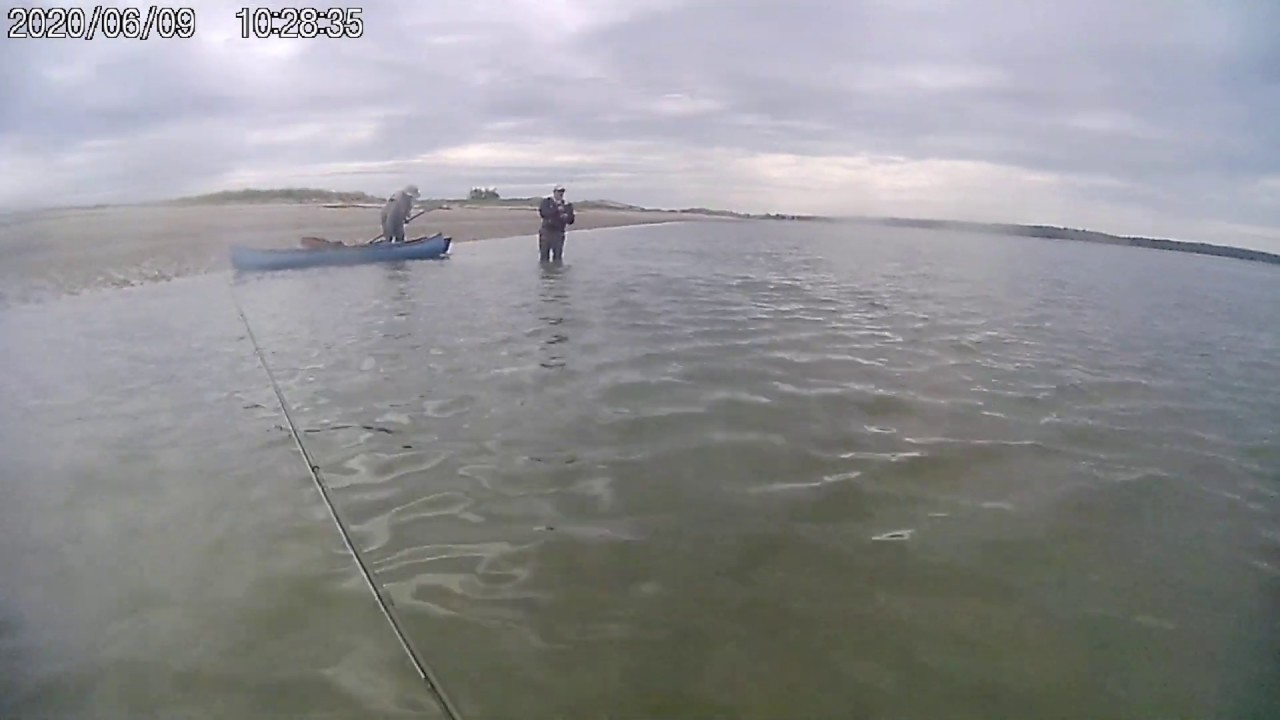 Dick's nice 24 inch fish caught trolling in the Grand Canyon area at ...