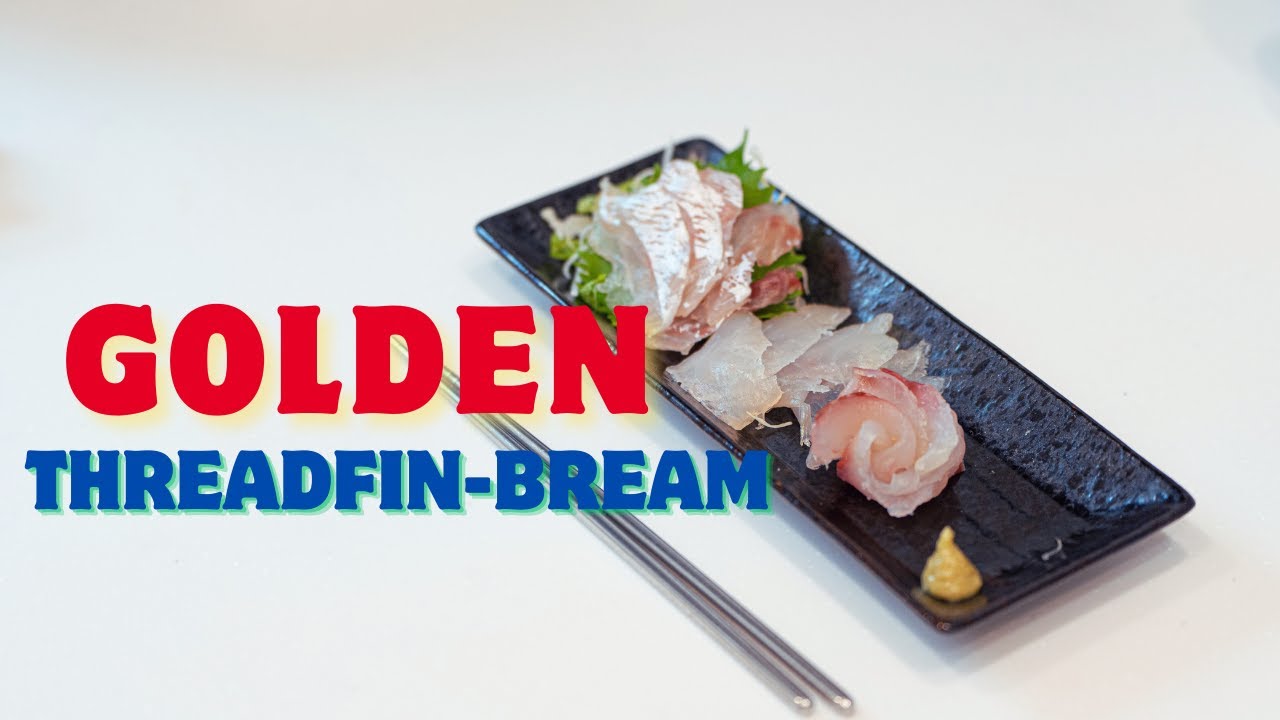 Golden threadfin-bream - YouTube