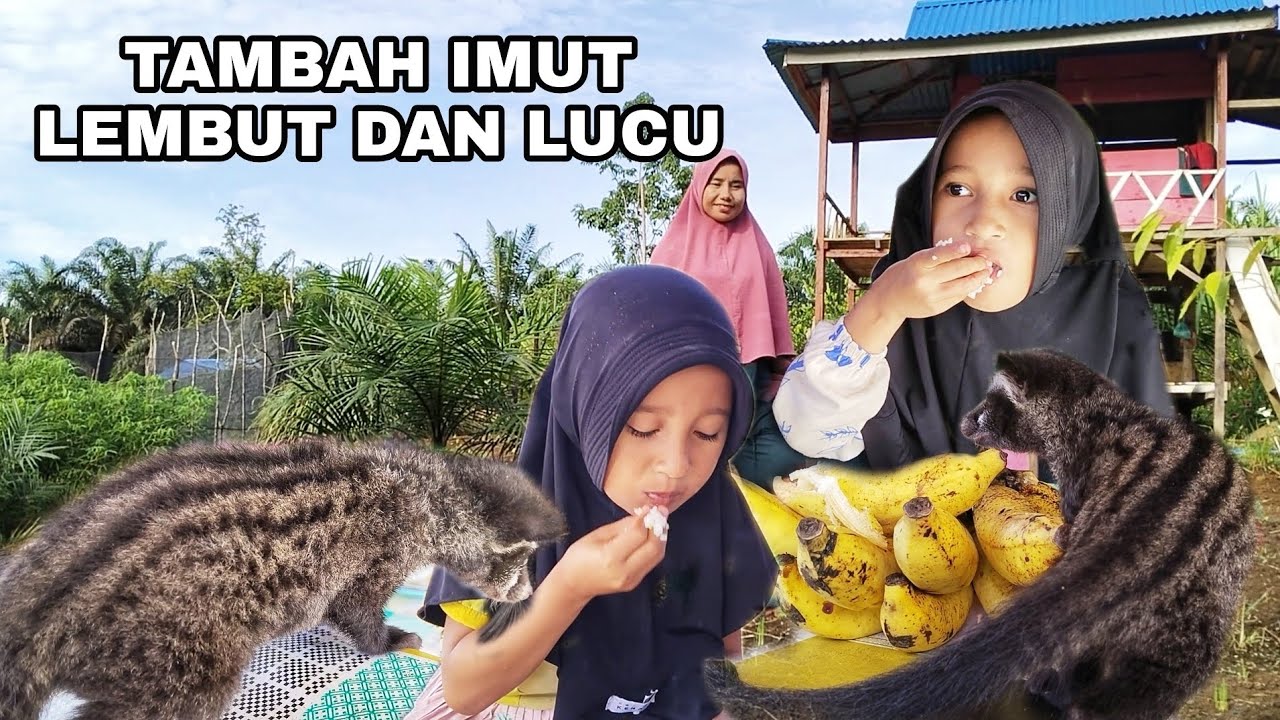 TAMBAH IMUT LEMBUT & LUCU | SIMPLE FAMILY Peaceful, calm and happy ...