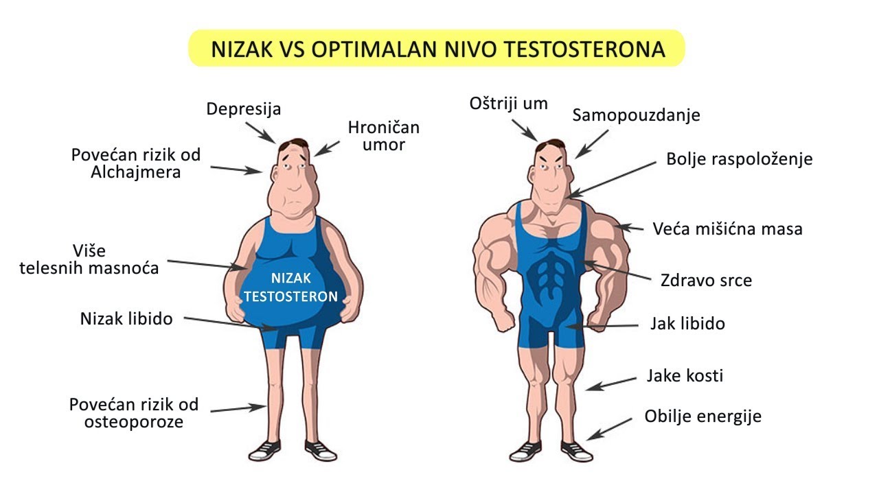 NIZAK NIVO TESTOSTERONA KOD SPORTISTA - YouTube