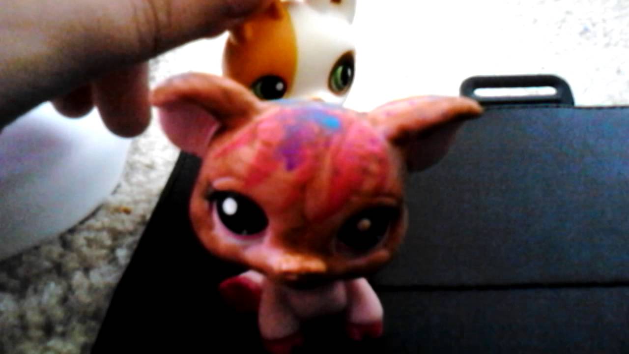 My LPs customs plus calling Hasbro!!!!! - YouTube