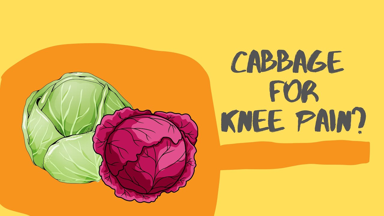 Cabbage Wraps for Knee Pain? Seriously!? - YouTube