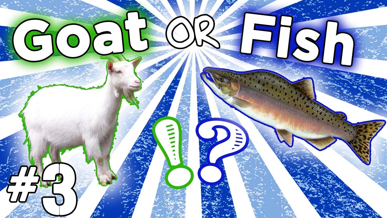 Is it a Goat or a Fish ?! / Goat Simulator Part 03 - YouTube