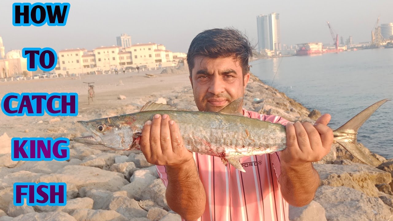 How to catch king fish #fishing #kingfish - YouTube