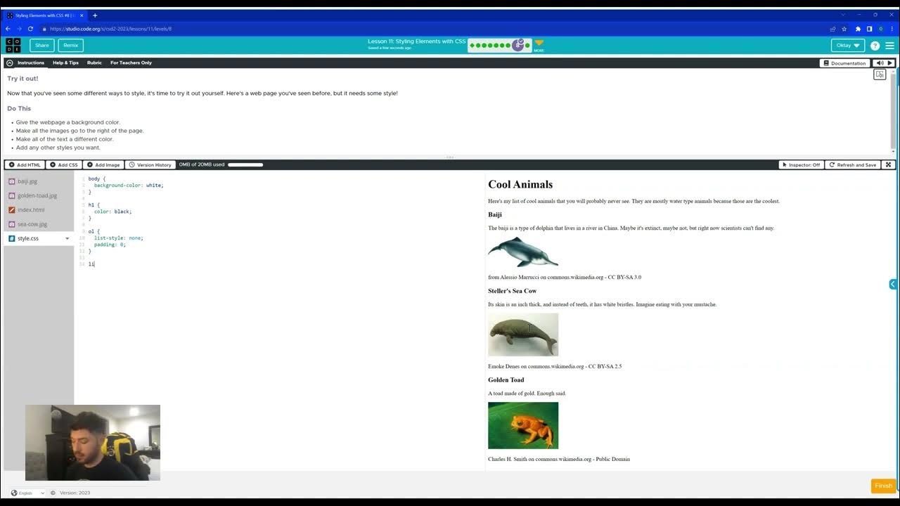 Unit 2: Lesson 11 -Activity 8 -Styling Elements with CSS I Web Development ('23-'24) - Code.org ...