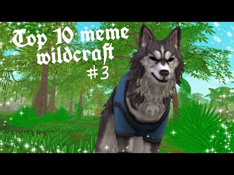 top 10 meme wildcraft # 3 - YouTube