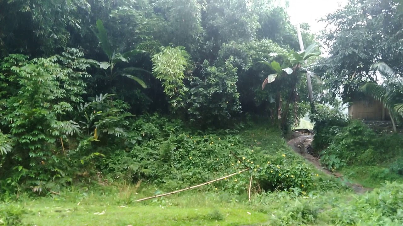 Tupi spring river - YouTube