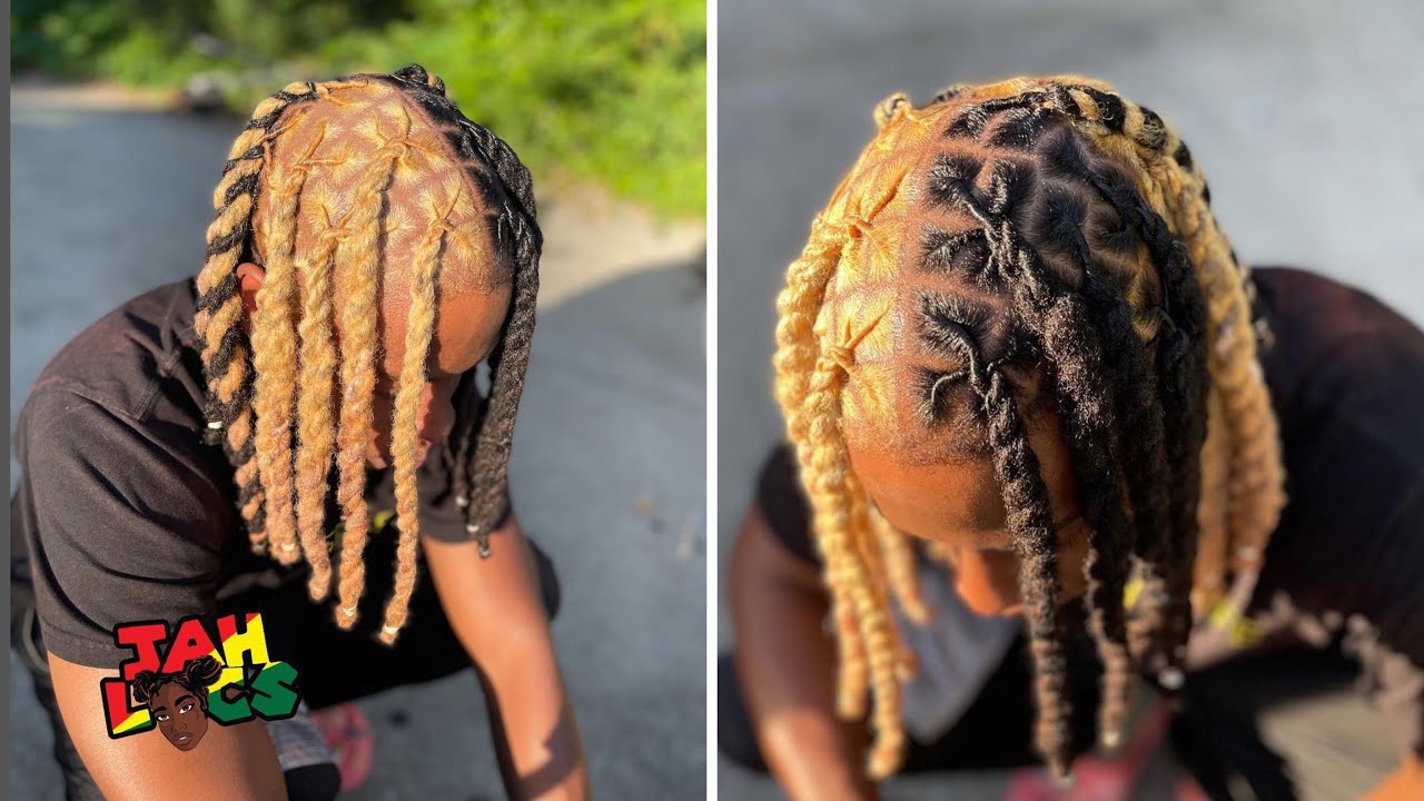 Skunk Stripe On Locs | 3 Strand Twists | Dreads By Jah Locs - YouTube