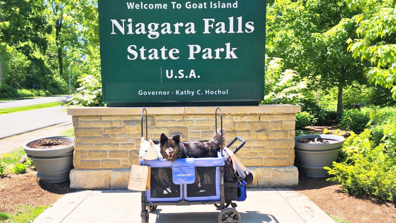 Niagara Falls State Park US Falls at Goat Island - YouTube