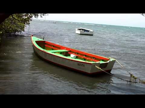 Reserva Natural Punta Cucharas - Ponce - Puerto Rico - Parte X - YouTube