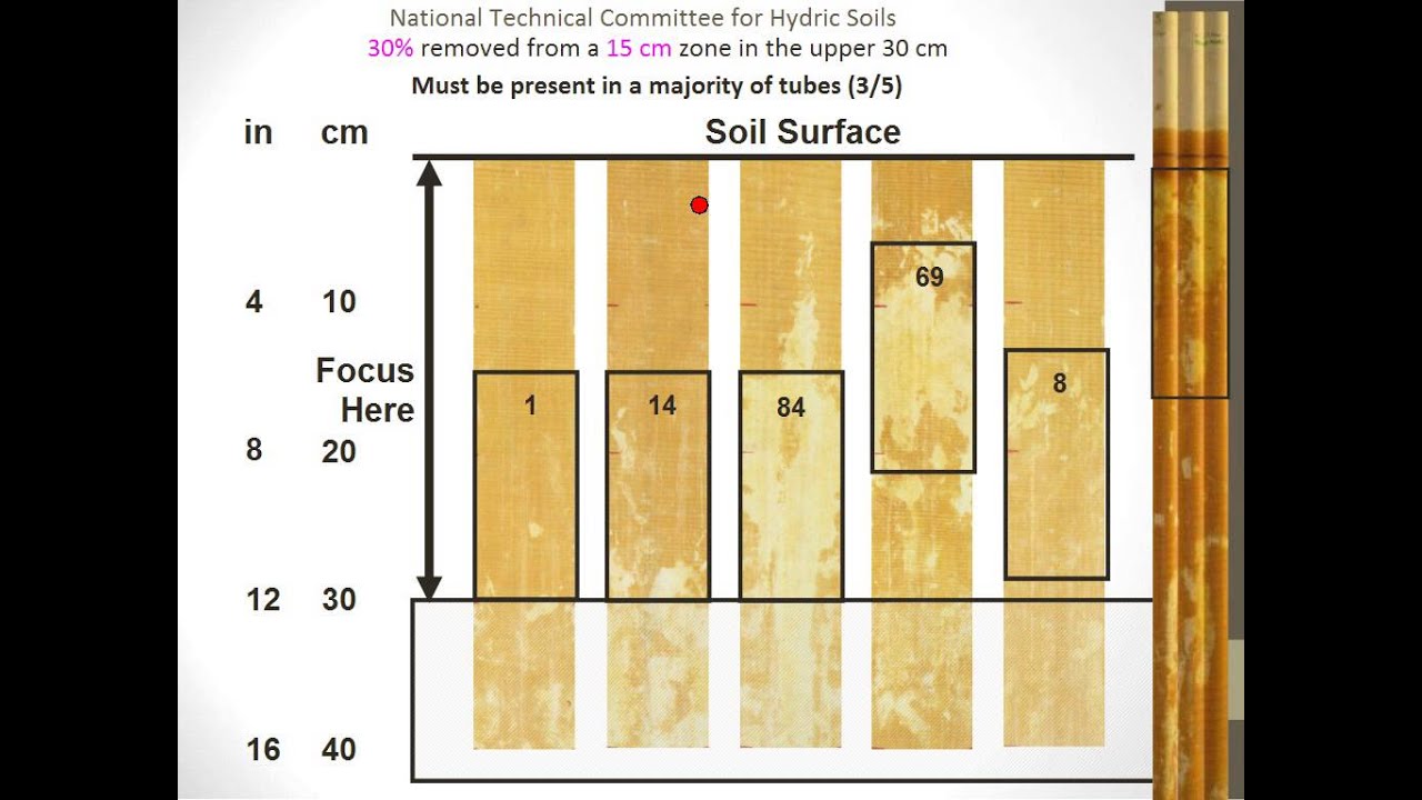 Webinar - IRIS Tube Technology (1/2013) - YouTube
