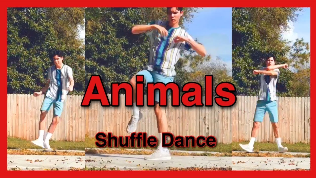"Animals-Martin Garrix" Shuffle/Shapes - Daniel Cruz Caraballe - YouTube