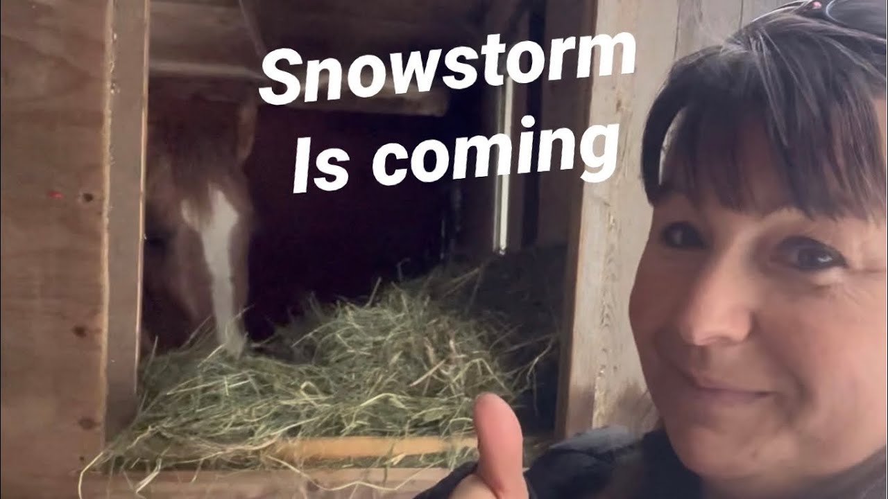 Snowstorm is coming - YouTube