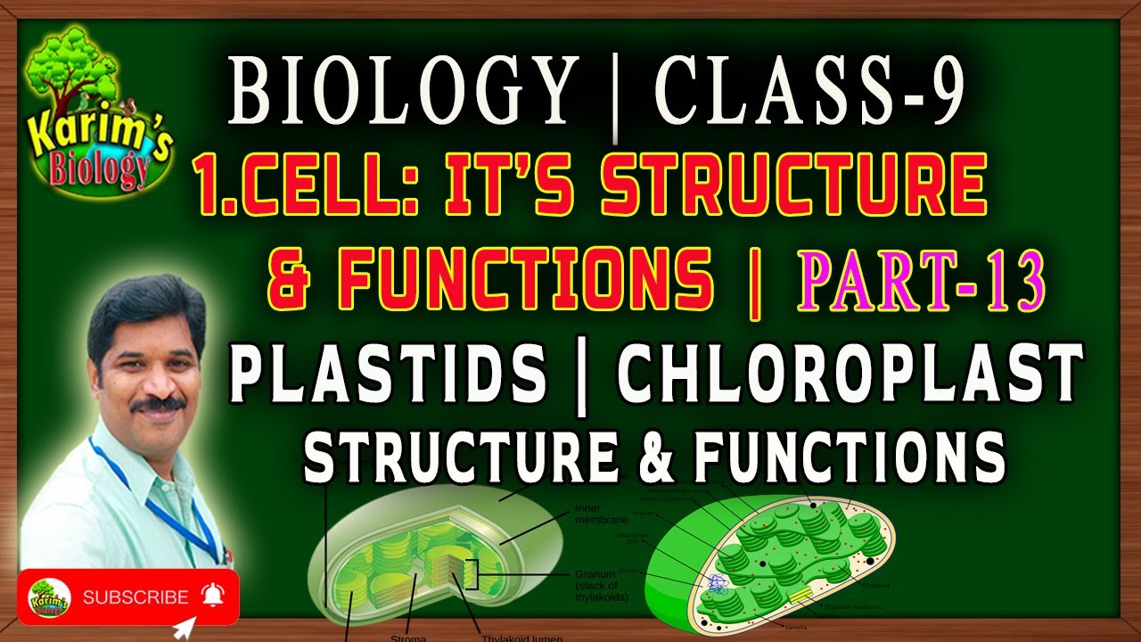 Class 9 || Biology || Cell: It's structure and functions || Part-13 ...