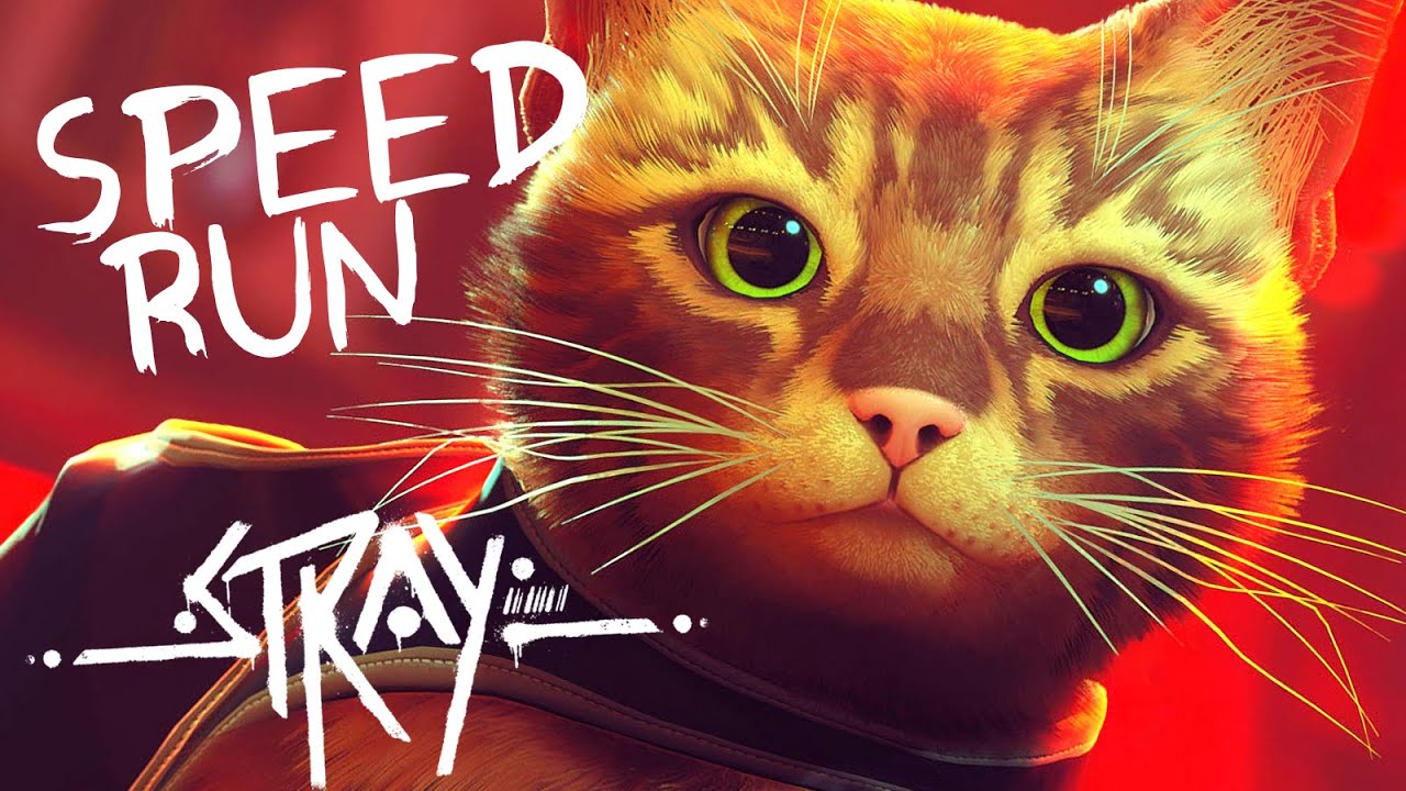 Stray Ep 9 - The Fastest Cat Alive | 100% Trophy Hunting Playthrough ...