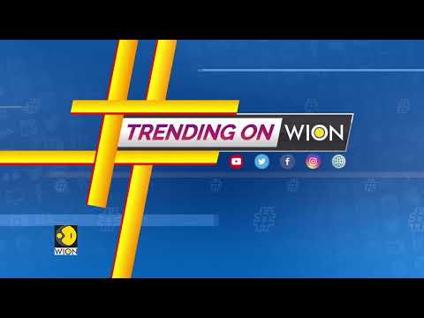 Trending On WION: Hijab, Niqab, Burqa, the different Islamic clothing for women | World English News