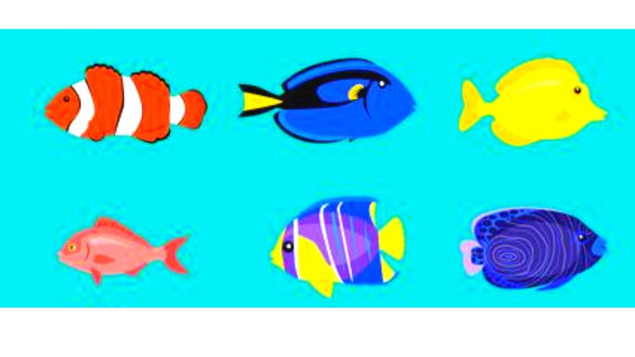 Learn Colors with Fish I Color for Children बच्चों के लिए मछली के साथ ...