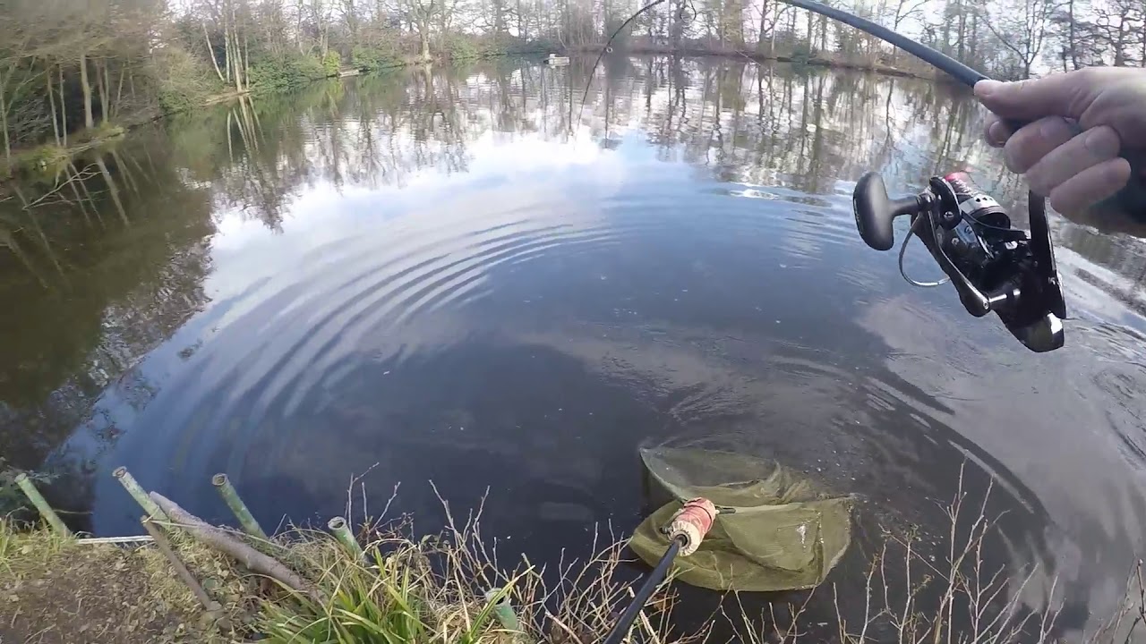 using a baiting pole for carp - YouTube