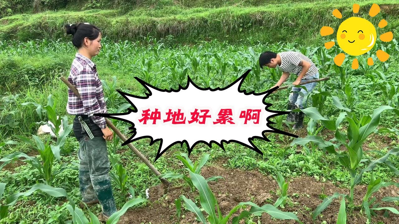 農村總有乾不完的農活,貴州女人就是猛小潘說太累了不想幹活【農村小潘】 Youtube