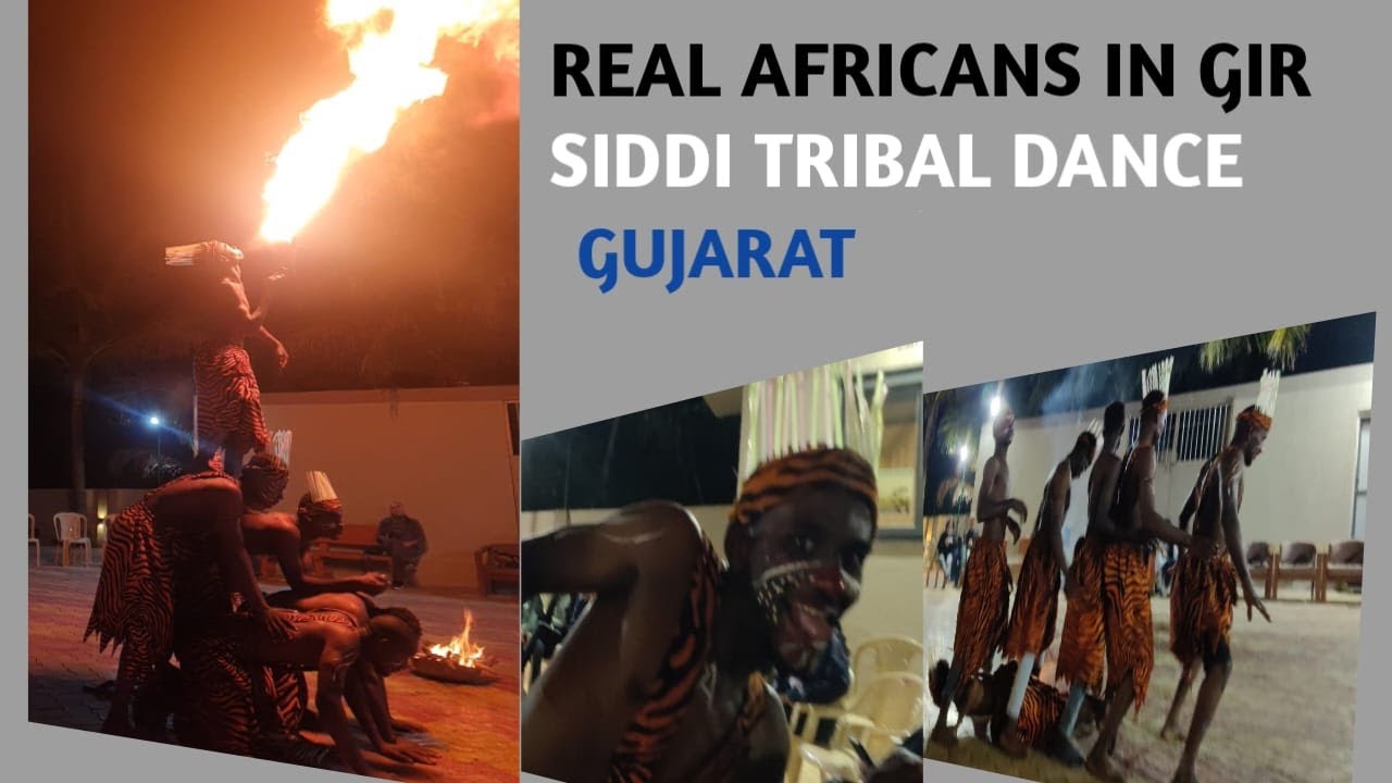 SIDDI DANCE | DHAMAL | AFRICANS IN SASAN GIR | TRIBAL DANCE AT ANANTAM ...