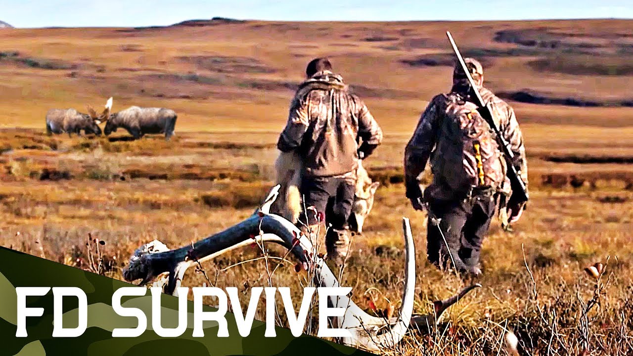 Dropped: Escape the Arctic | Complete Season | Survival Show - YouTube