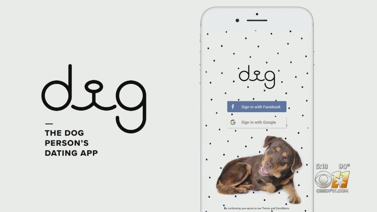 Dating App Looks To Connect Dog Lovers - YouTube