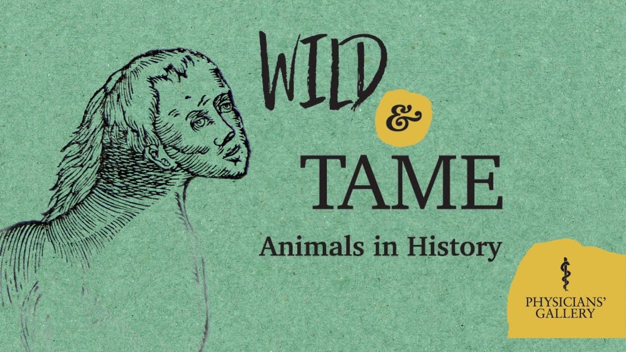 Animals in Medicine Virtual Tour - YouTube