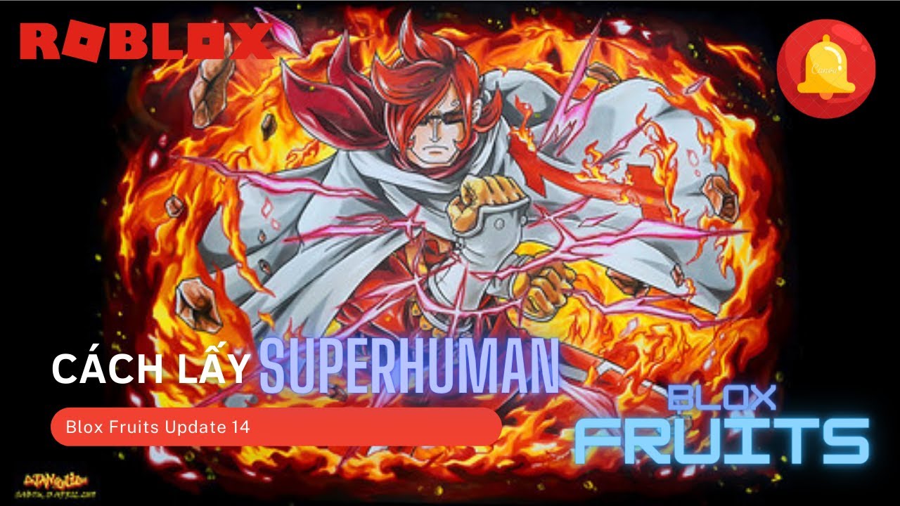 Cách lấy SuperHuman trong Blox Fruits - Blox Fruits [Roblox] - YouTube