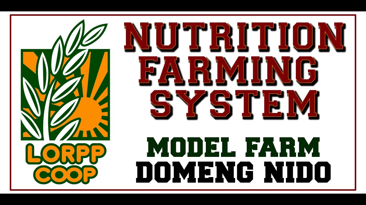 Nutrition Farming System - YouTube