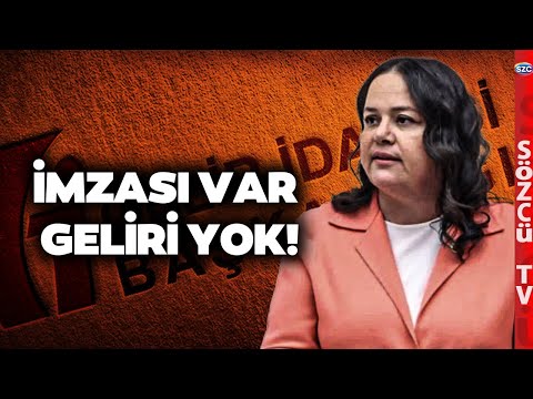 Bunu da Gördük! AKP'li Nilgün Ök Milyonlar Kazanmış Vergi Ödememiş! Deşifre Oldu