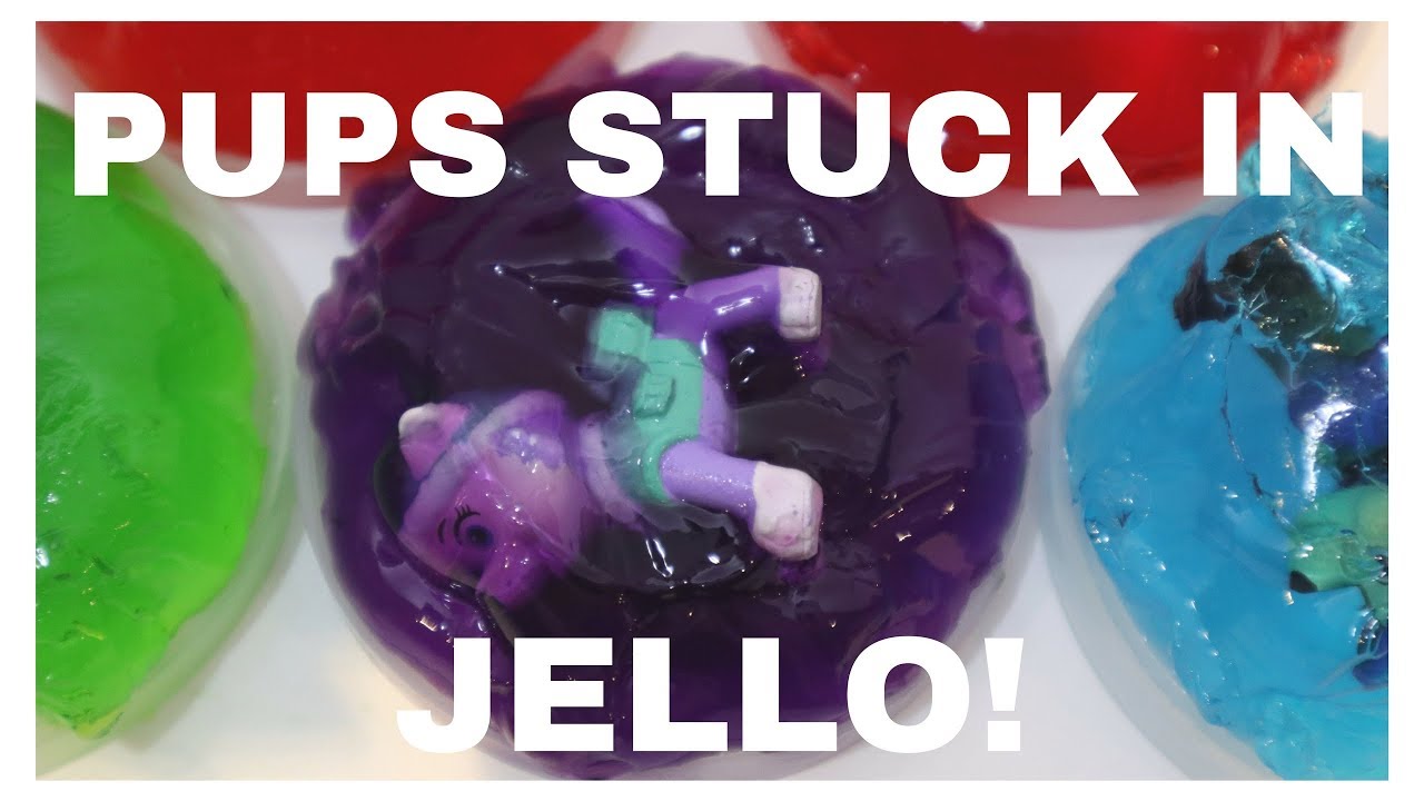 Pups Stuck in Jello! - YouTube
