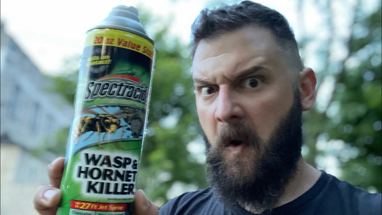 How to spray a paper wasp nest! - YouTube
