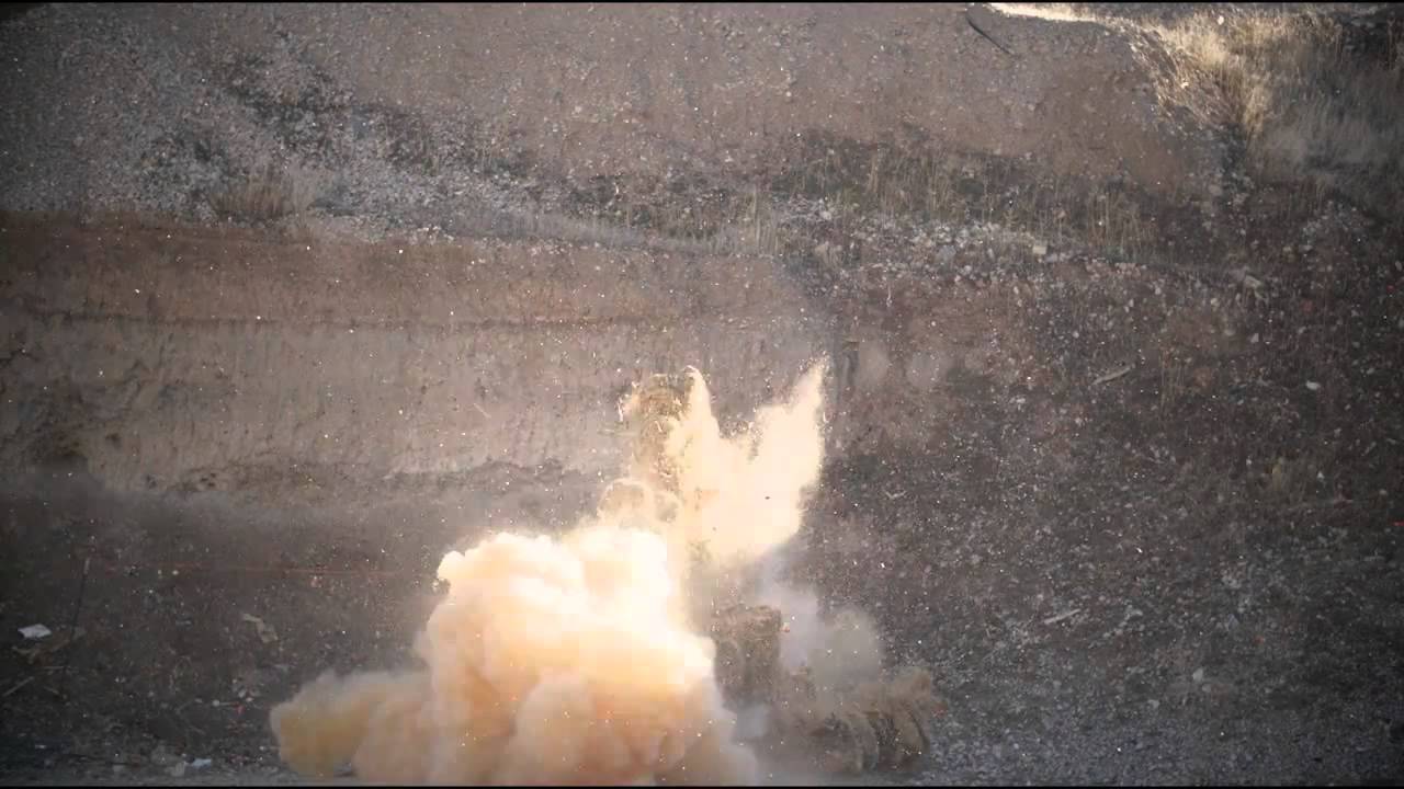 Do Reindeer Fly? | Exploding Reindeer with Tannerite | Business NOS ...