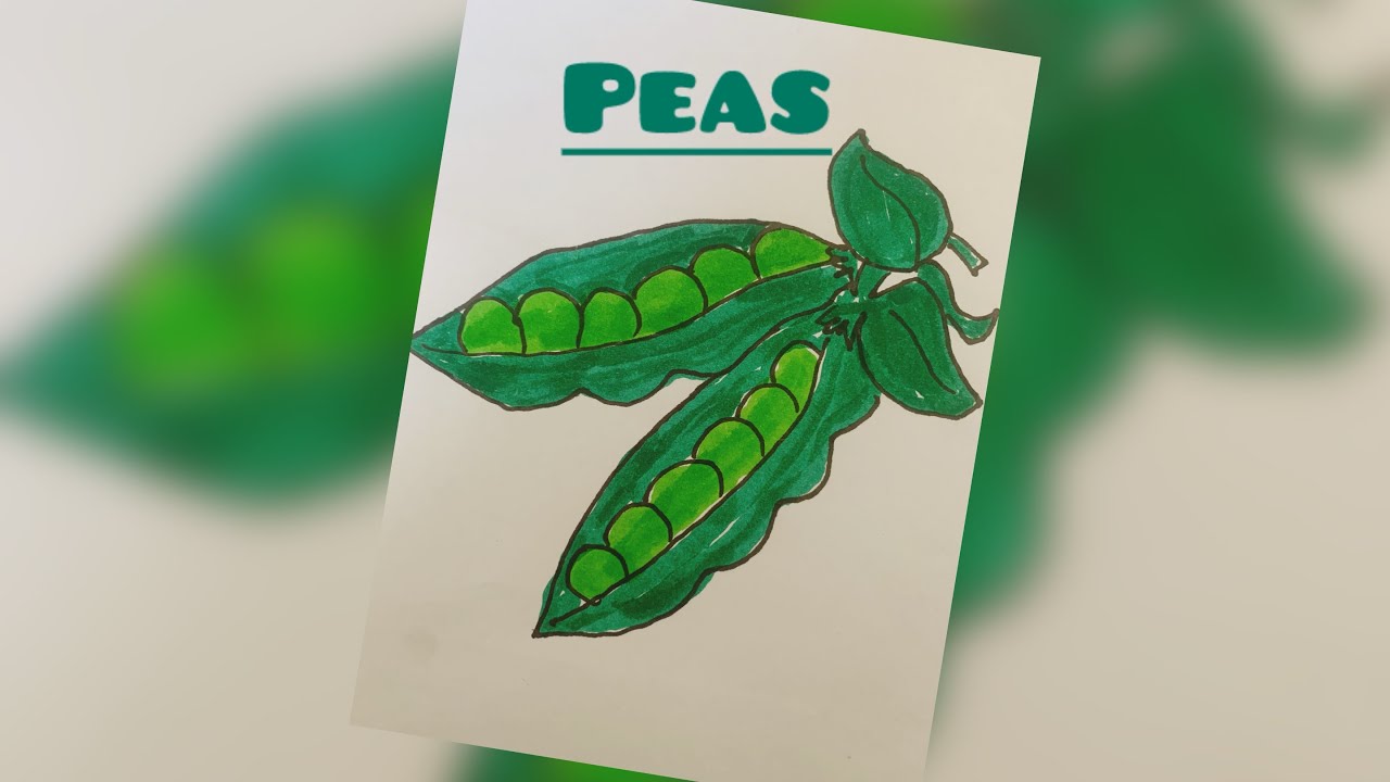 How to Draw Green Peas 🫛| Matar | Green Vegetable | Healthy Vegetable ...