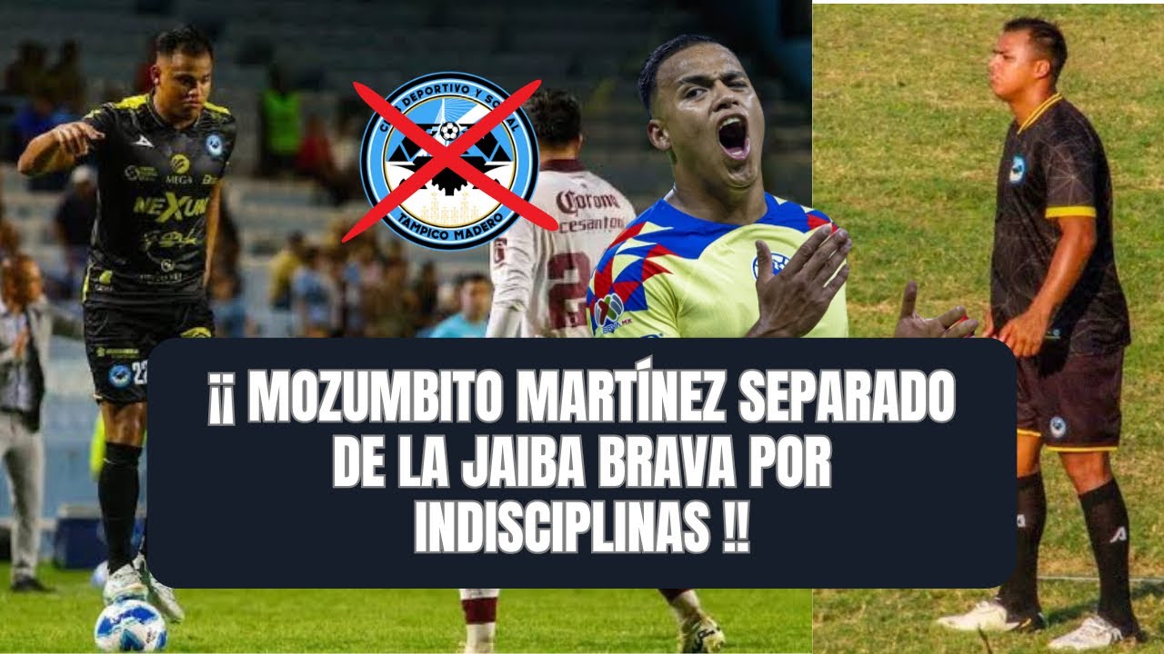 UN DESASTRE el PRÉSTAMO del MOZUMBITO MARTÍNEZ a la Jaiba Brava AMÉRICA ...