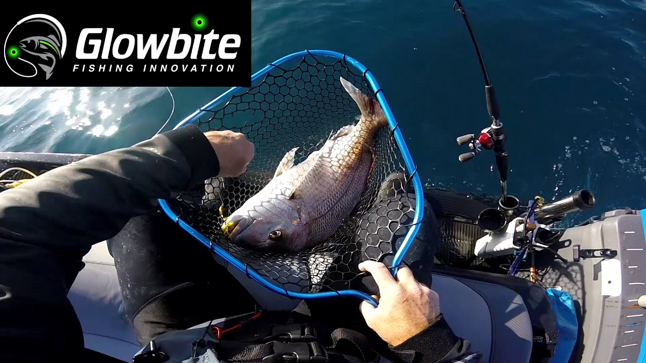 Action on bar 20lb snapper 9/2/20 - YouTube