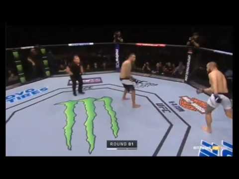 Flying side kick to the face! UFC 203 (Fabricio Werdum