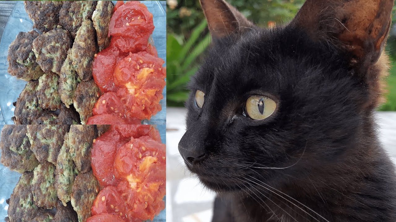 How to cook Crispy Cutlet for family and cats . black cats angels - YouTube