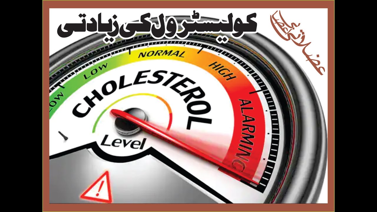 Cholestrol Increase in Uzlati Aasabi Tehreek720P HD - YouTube